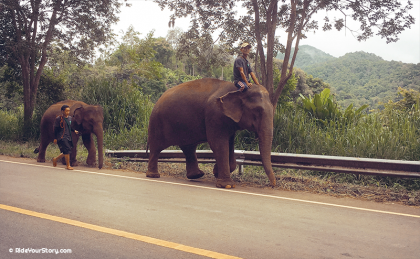 route . Chiang Mai – Samoeng Loop – RideYourStory